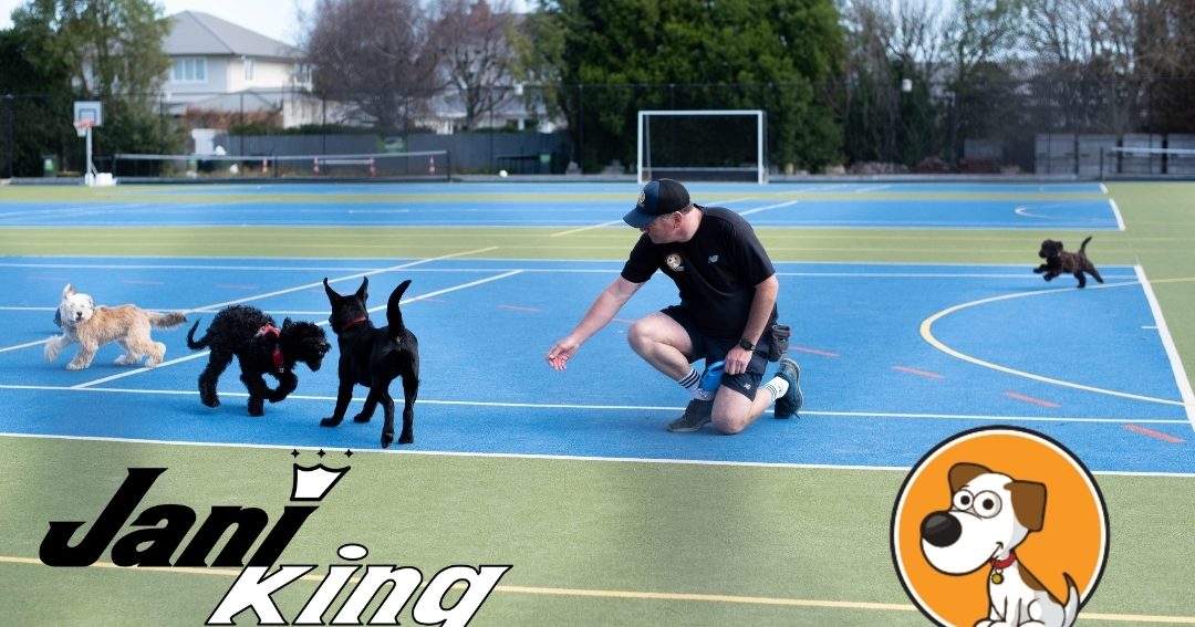 Bringing Pets to Work: Expert Tips from Dog Trainer Tim… | Jani-King